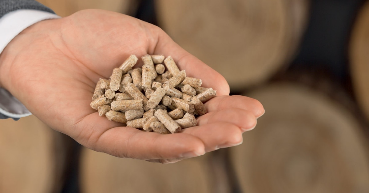 Choisir son combustible bois | Blog